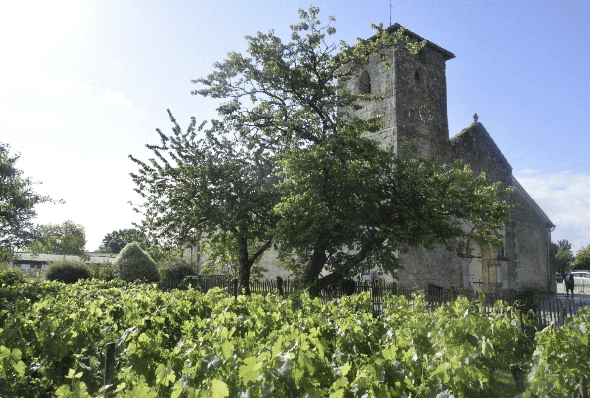 Visiter Saint-Aubin – Mairie Saint-Aubin-de-Médoc